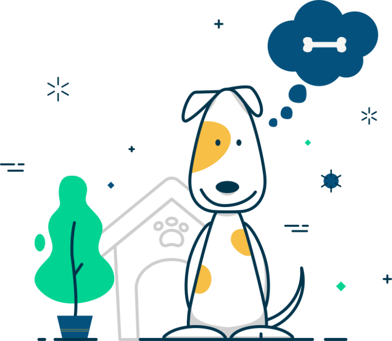 About Us - Animal Rescue Kochi